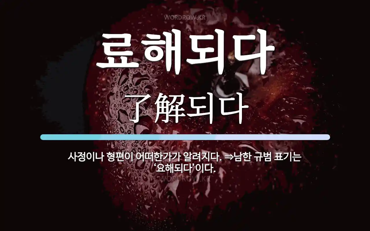 료해되다 뜻 사정이나 형편이 어떠한가가 알려지다 ⇒남한 규범 표기는 ‘요해되다이다