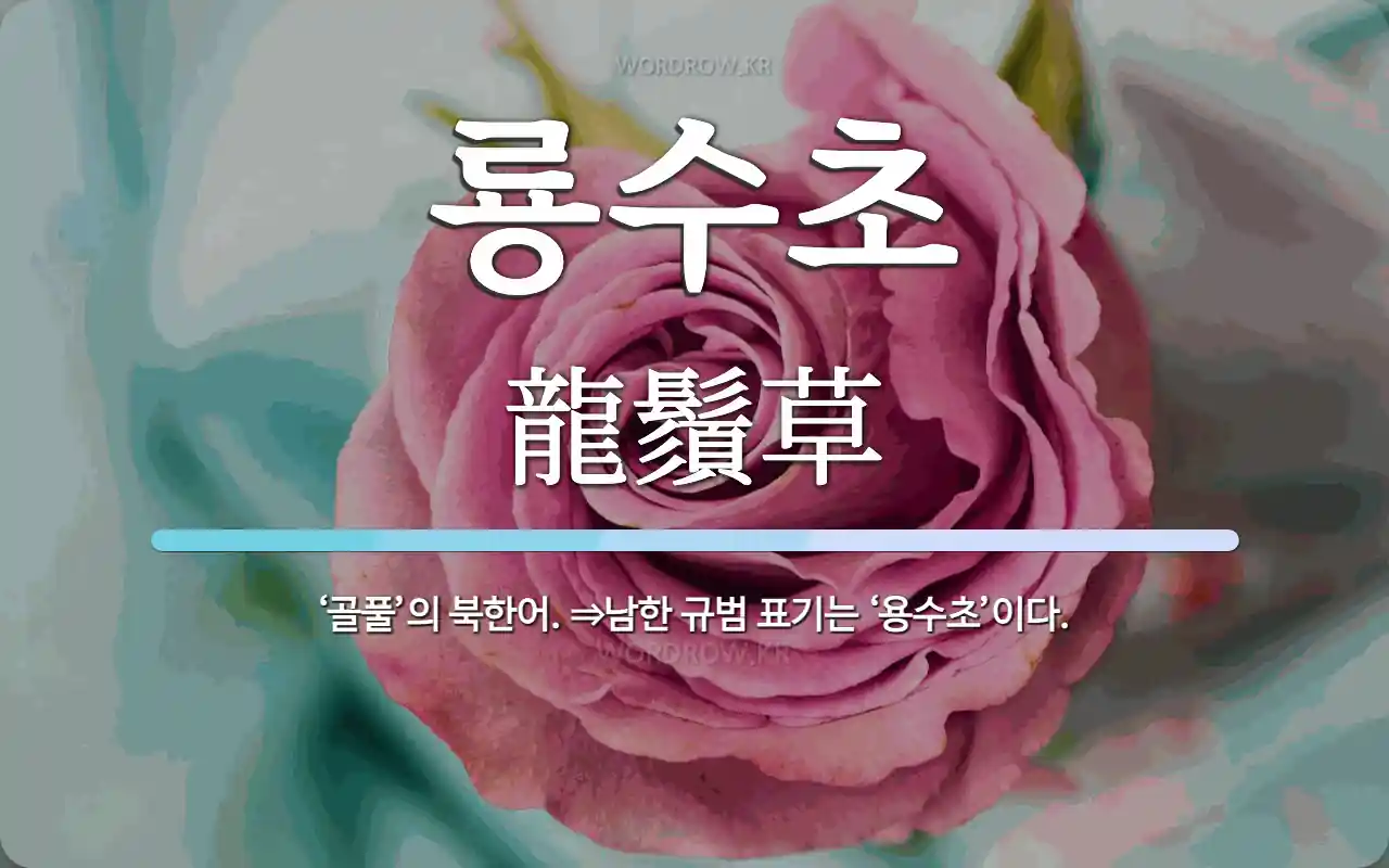 룡수초 뜻 ‘골풀의 북한어 ⇒남한 규범 표기는 ‘용수초이다