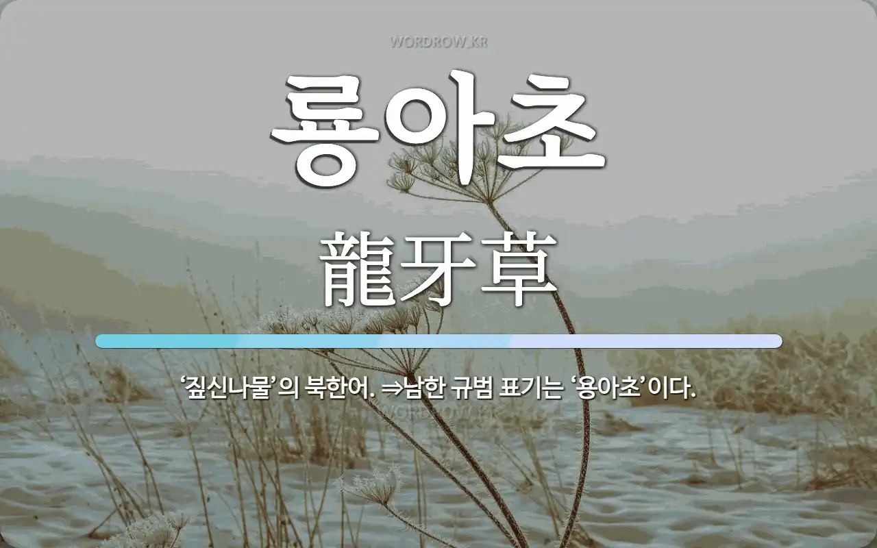 룡아초 뜻 ‘짚신나물의 북한어 ⇒남한 규범 표기는 ‘용아초이다