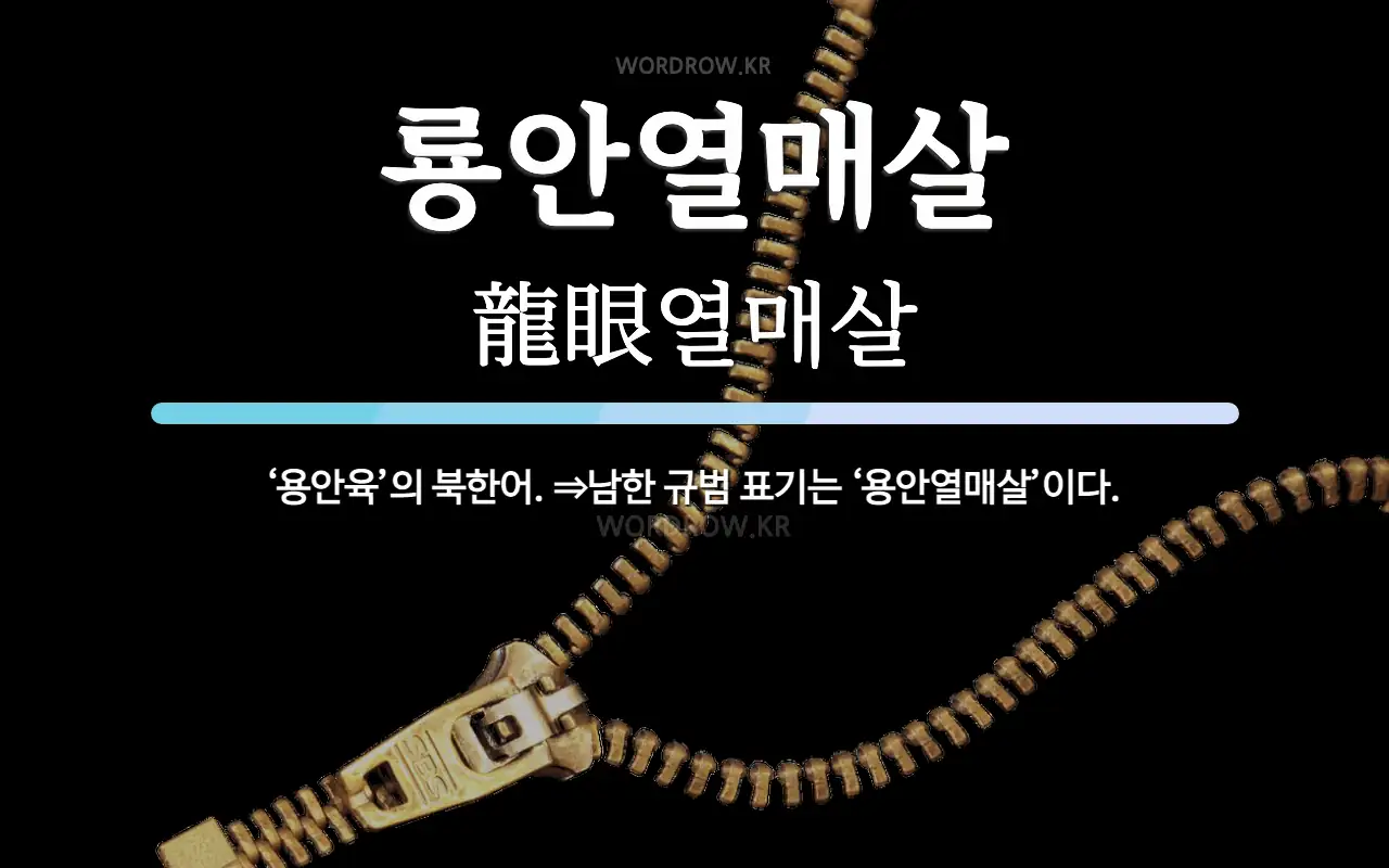 룡안열매살 뜻 ‘용안육의 북한어 ⇒남한 규범 표기는 ‘용안열매살이다