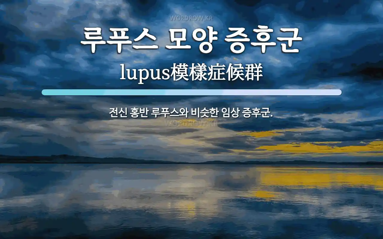 루푸스 모양 증후군 뜻 전신 홍반 루푸스와 비슷한 임상 증후군