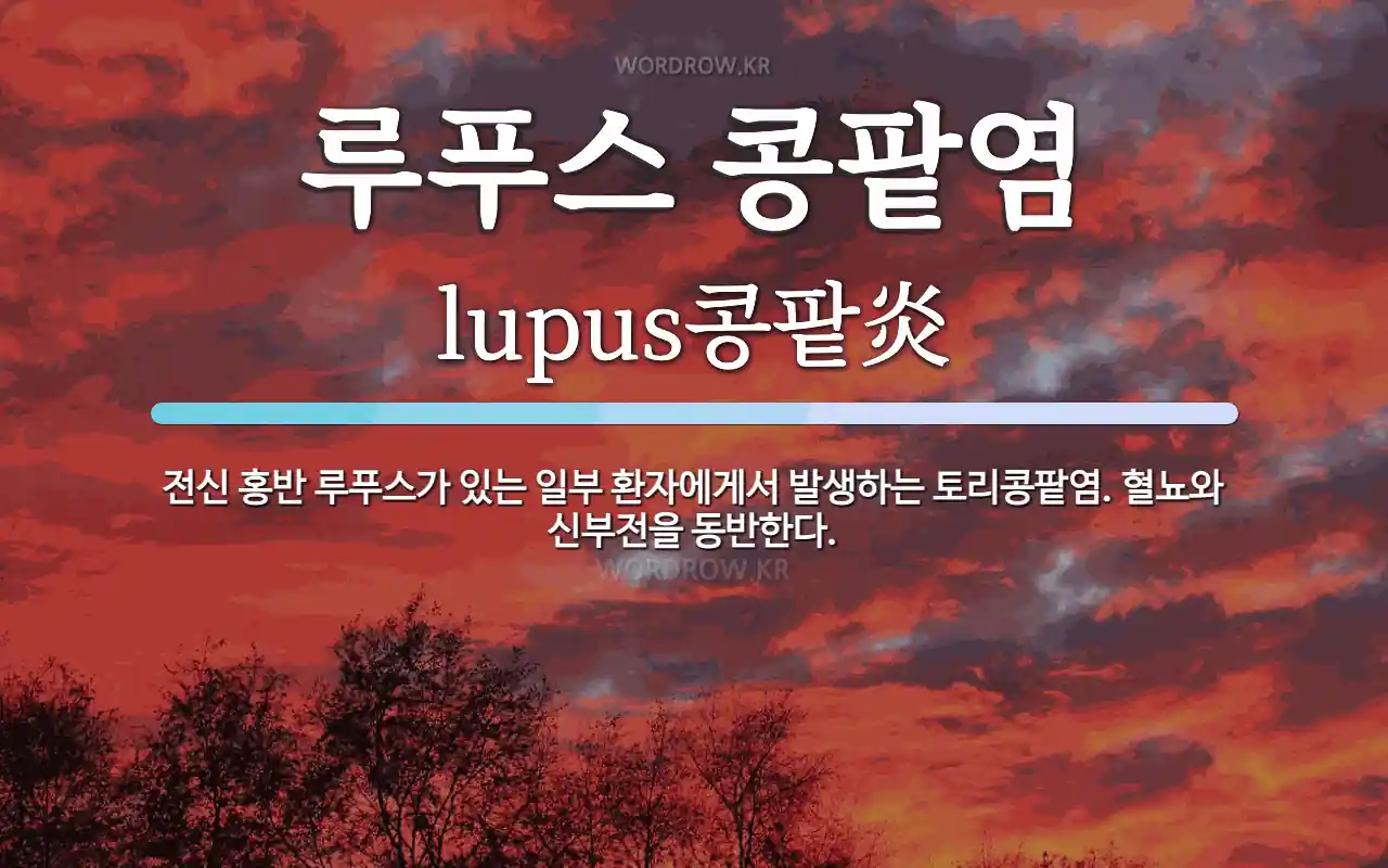 루푸스 콩팥염 뜻 전신 홍반 루푸스가 있는 일부 환자에게서 발생하는 토리콩팥염 혈뇨와 신부전을 동반한다