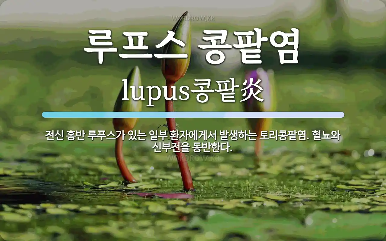 루프스 콩팥염 뜻 전신 홍반 루푸스가 있는 일부 환자에게서 발생하는 토리콩팥염 혈뇨와 신부전을 동반한다