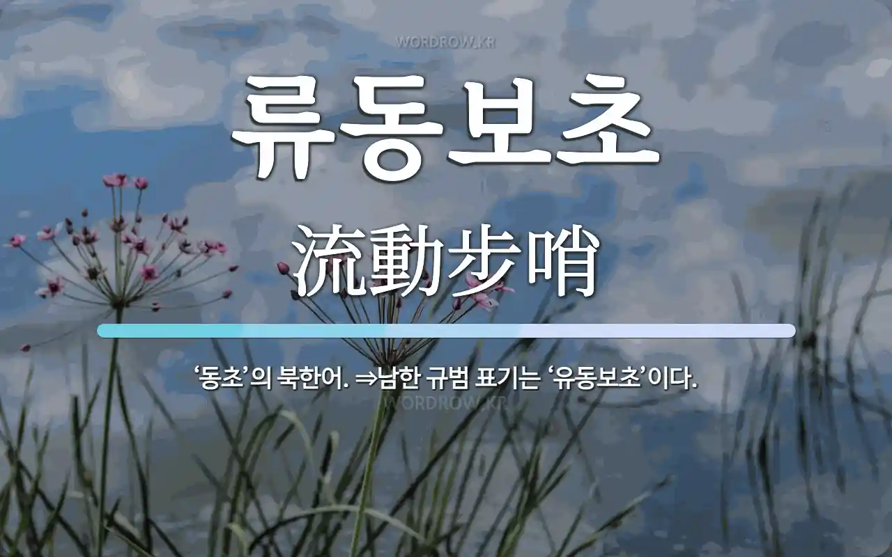 류동보초 뜻 ‘동초의 북한어 ⇒남한 규범 표기는 ‘유동보초이다