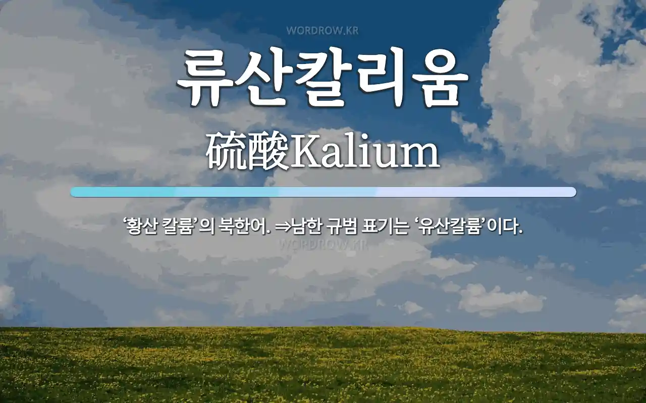 류산칼리움 뜻 ‘황산 칼륨의 북한어 ⇒남한 규범 표기는 ‘유산칼륨이다