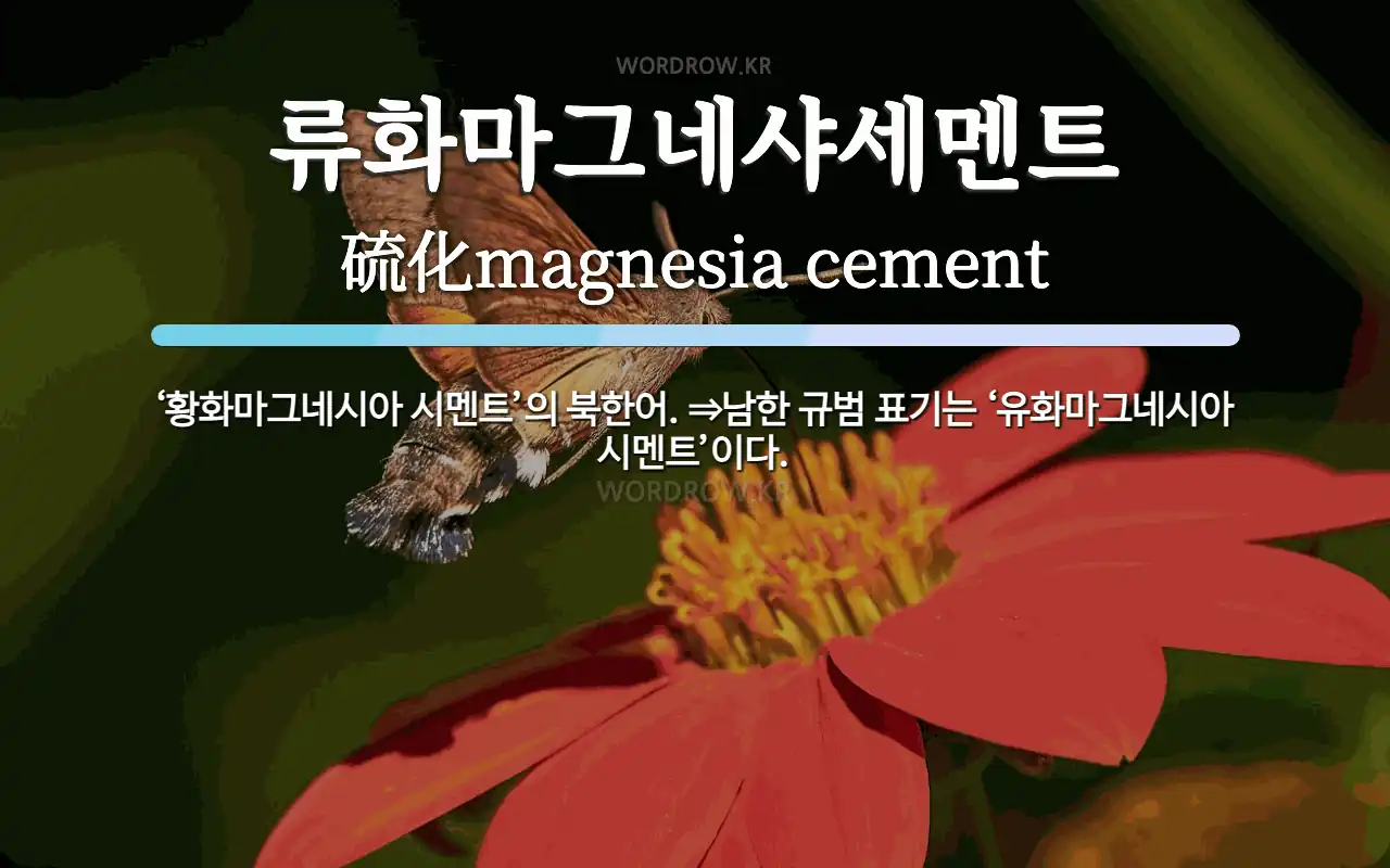 류화마그네샤세멘트 뜻 ‘황화마그네시아 시멘트의 북한어 ⇒남한 규범 표기는 ‘유화마그네시아 시멘트이다