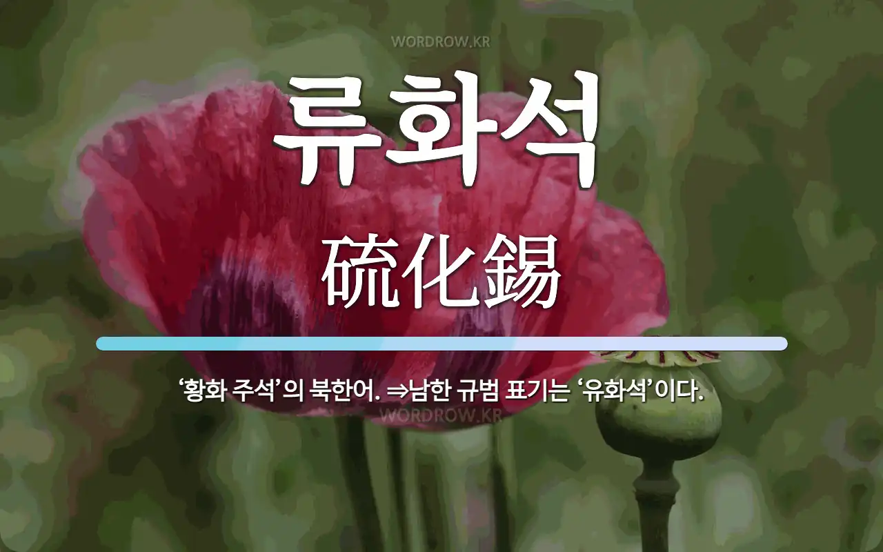 류화석 뜻 ‘황화 주석의 북한어 ⇒남한 규범 표기는 ‘유화석이다