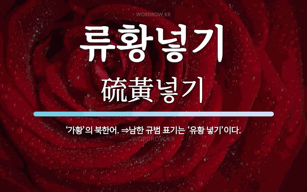 류황넣기 뜻 ‘가황의 북한어 ⇒남한 규범 표기는 ‘유황 넣기이다