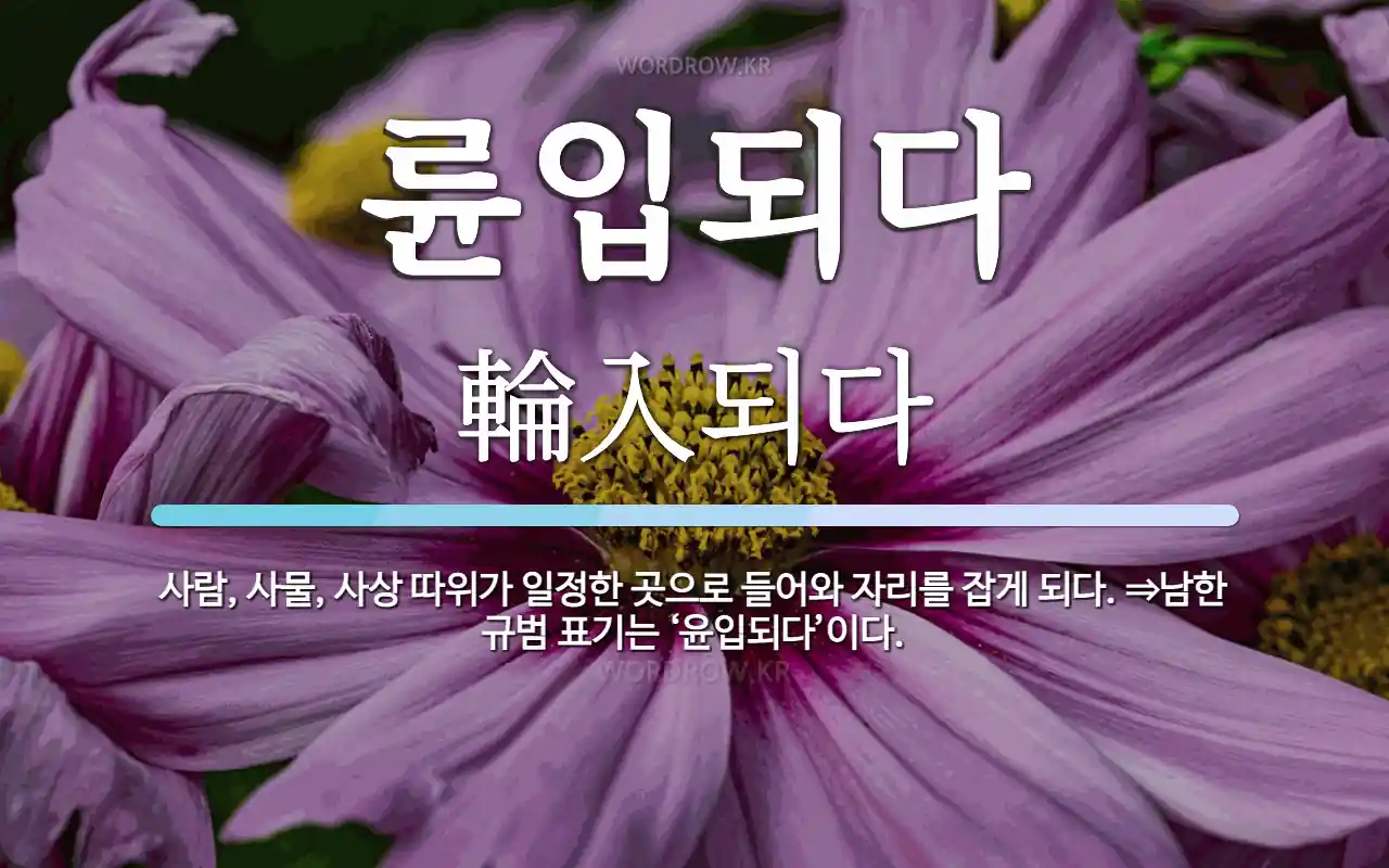 륜입되다 뜻 사람 사물 사상 따위가 일정한 곳으로 들어와 자리를 잡게 되다 ⇒남한 규범 표기는