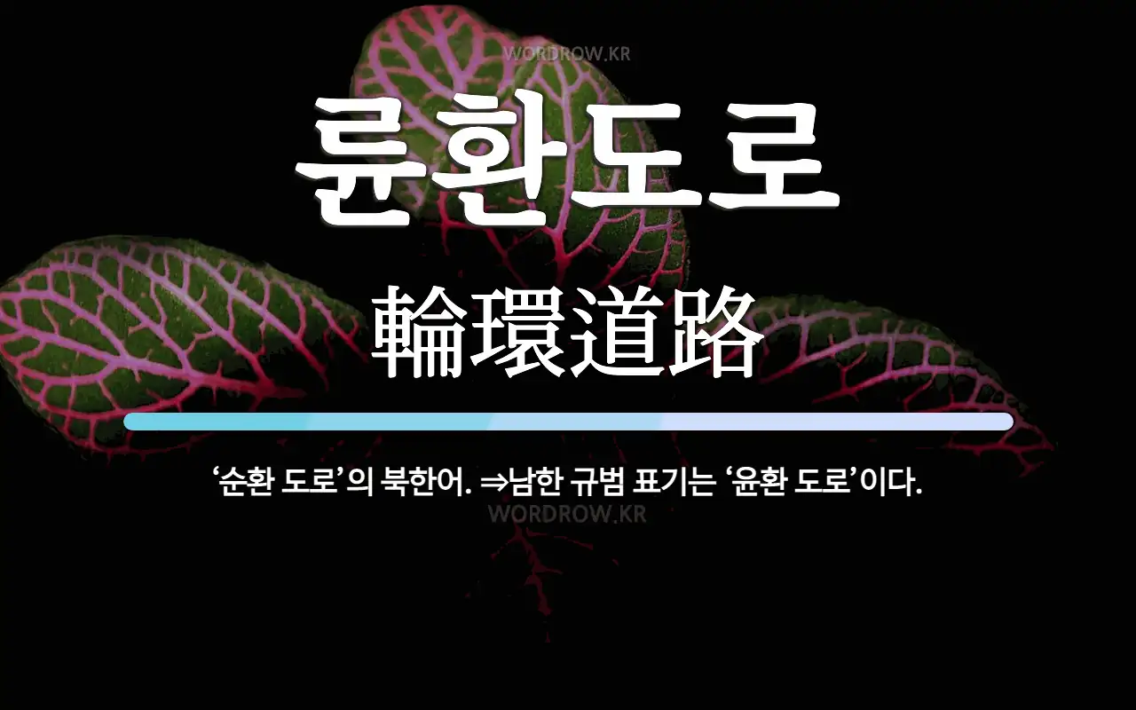 륜환도로 뜻 ‘순환 도로의 북한어 ⇒남한 규범 표기는 ‘윤환 도로이다