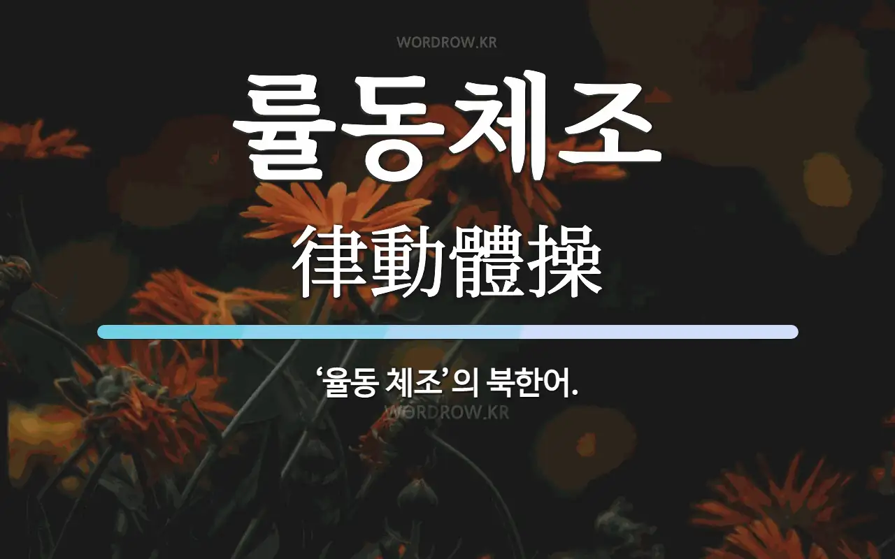 률동체조 뜻 ‘율동 체조의 북한어