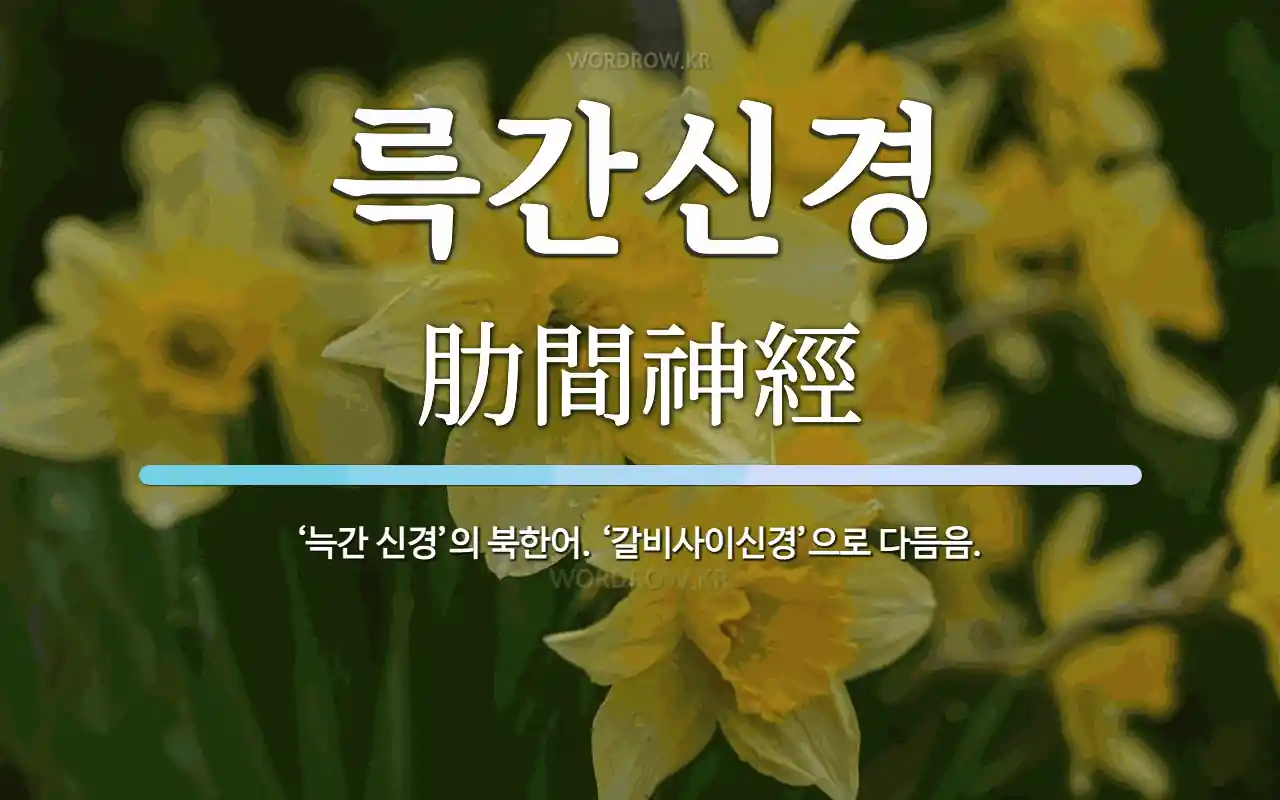 륵간신경 뜻 ‘늑간 신경의 북한어 ‘갈비사이신경으로 다듬음