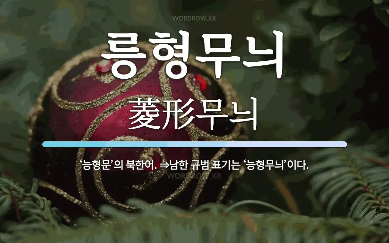 릉형무늬 뜻 ‘능형문의 북한어 ⇒남한 규범 표기는 ‘능형무늬이다