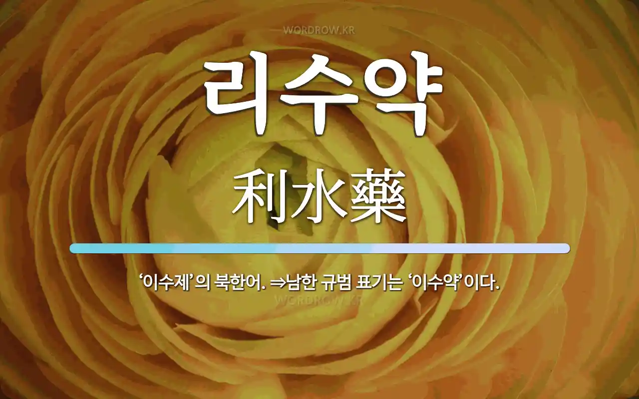 리수약 뜻 ‘이수제의 북한어 ⇒남한 규범 표기는 ‘이수약이다