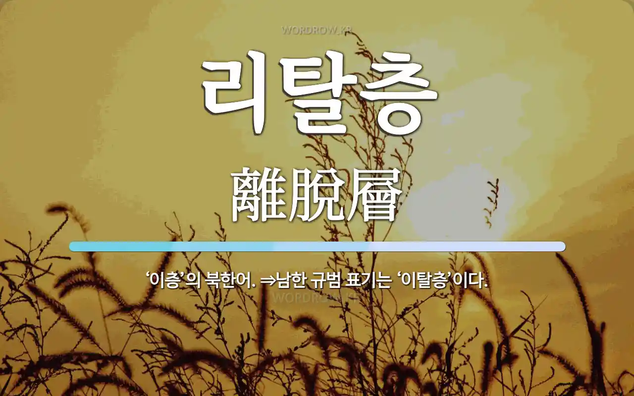 리탈층 뜻 ‘이층의 북한어 ⇒남한 규범 표기는 ‘이탈층이다