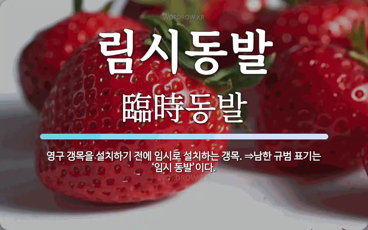 림시동발 뜻 영구 갱목을 설치하기 전에 임시로 설치하는 갱목 ⇒남한 규범 표기는 ‘임시 동발이다