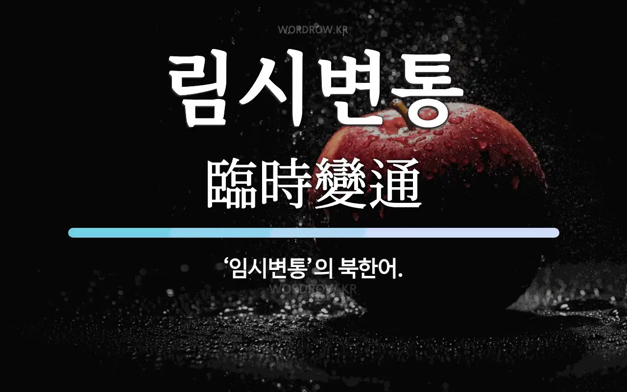 림시변통 뜻 ‘임시변통의 북한어