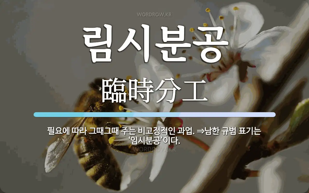 림시분공 뜻 필요에 따라 그때그때 주는 비고정적인 과업 ⇒남한 규범 표기는 ‘임시분공이다