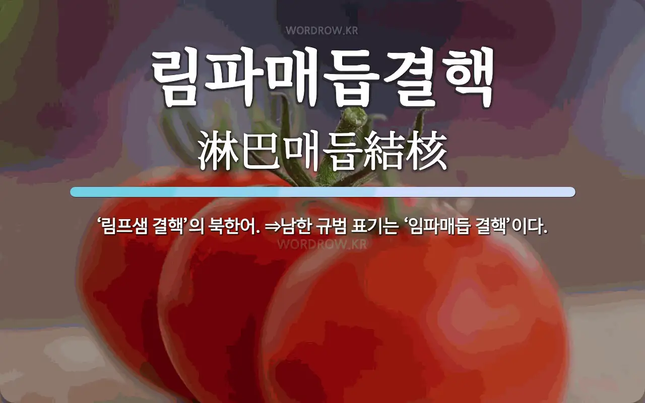 림파매듭결핵 뜻 ‘림프샘 결핵의 북한어 ⇒남한 규범 표기는 ‘임파매듭 결핵이다