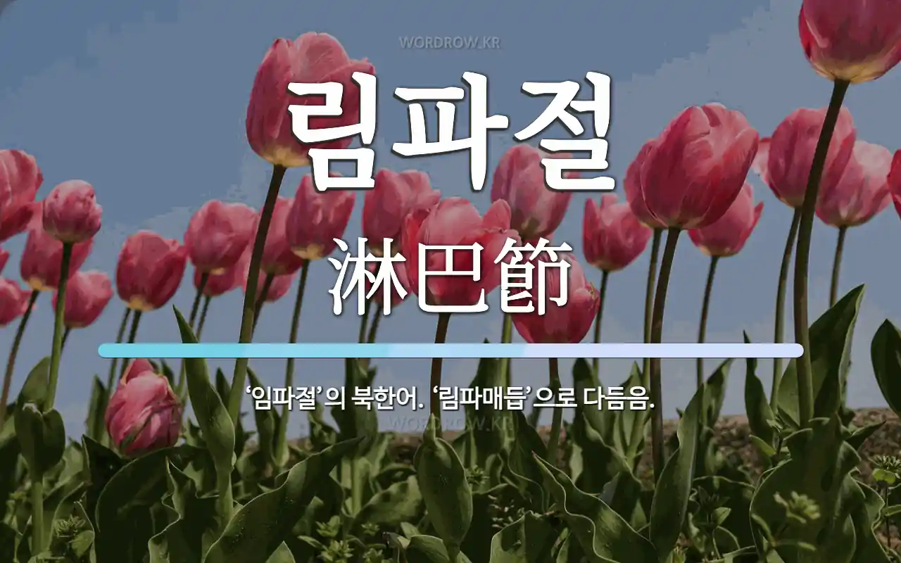 림파절 뜻 ‘임파절의 북한어 ‘림파매듭으로 다듬음