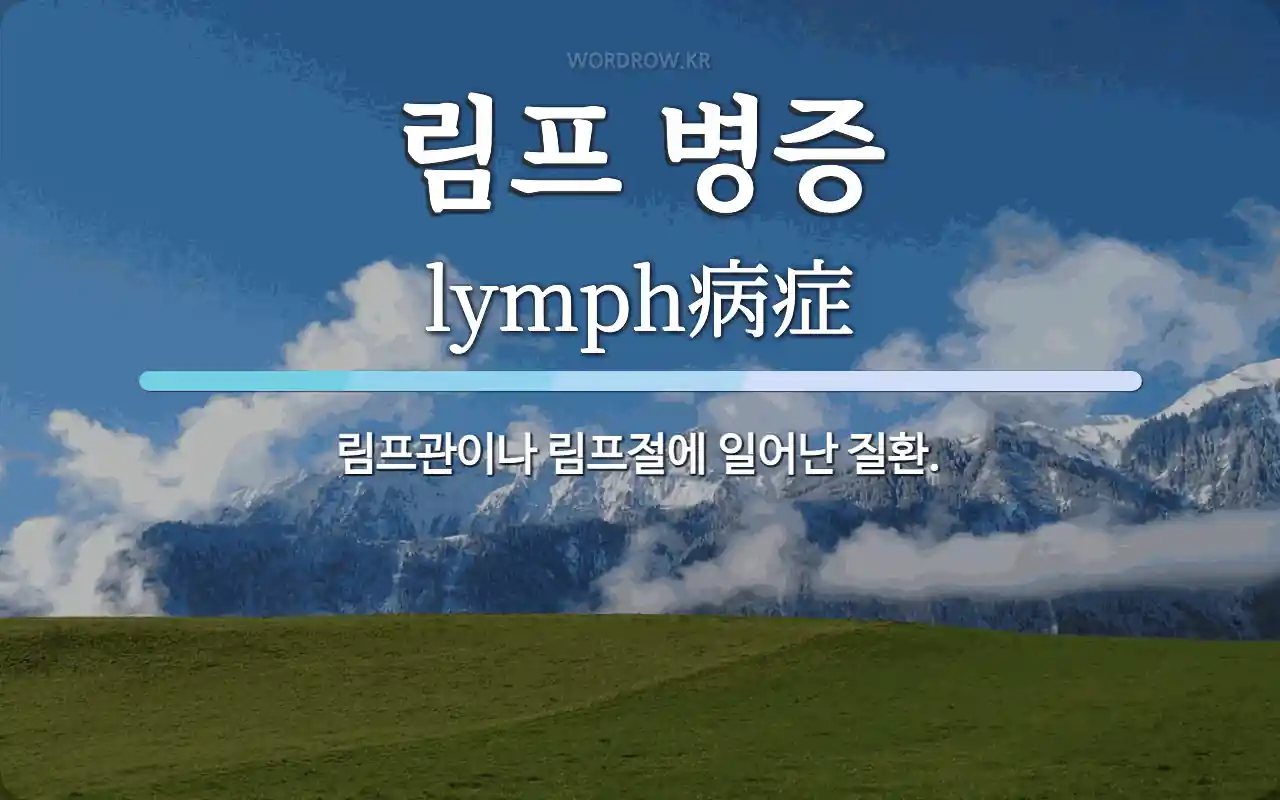 림프 병증 뜻 림프관이나 림프절에 일어난 질환