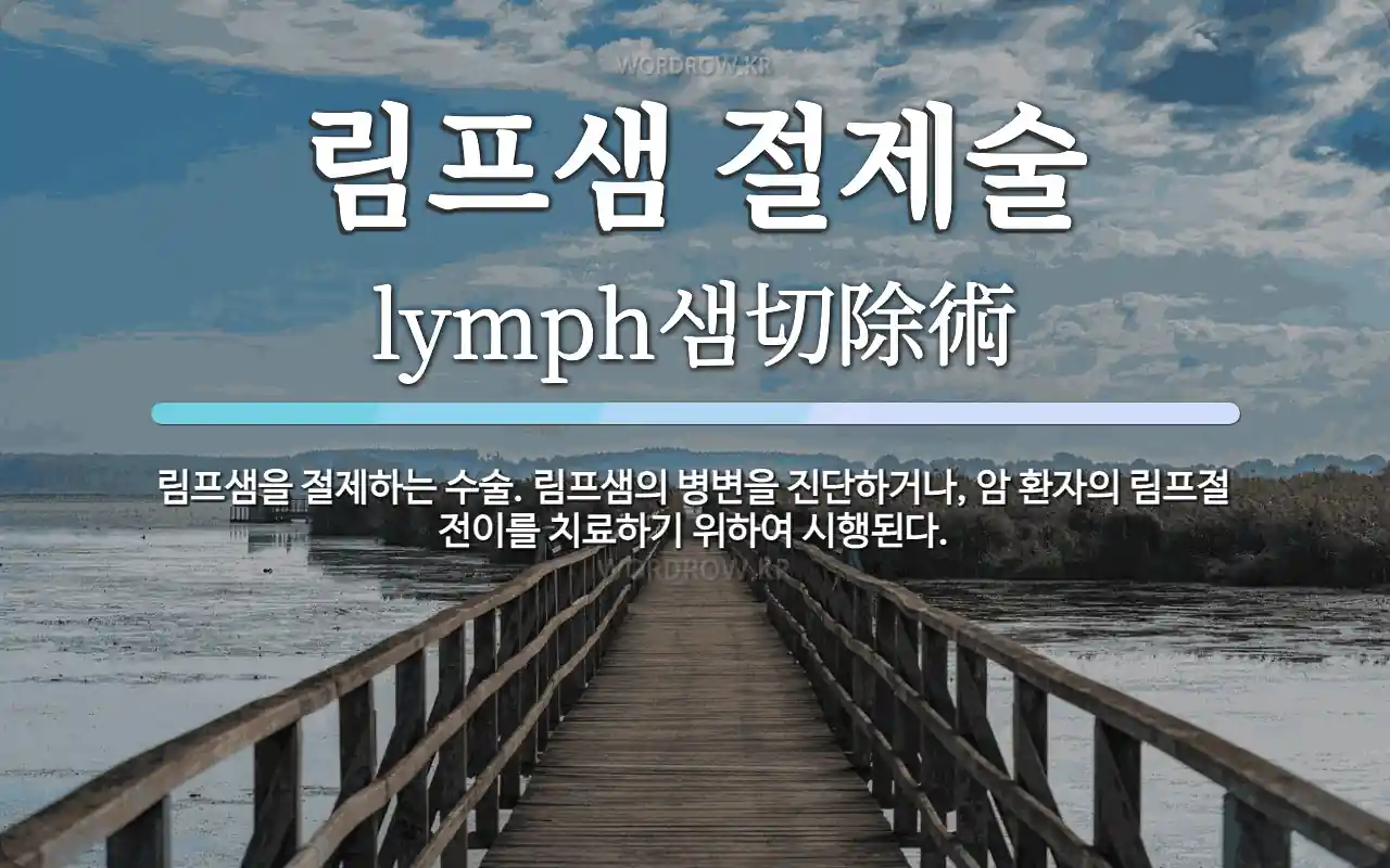 림프샘 절제술 뜻 림프샘을 절제하는 수술 림프샘의 병변을 진단하거나 암 환자의 림프절 전이를 치료하기 위