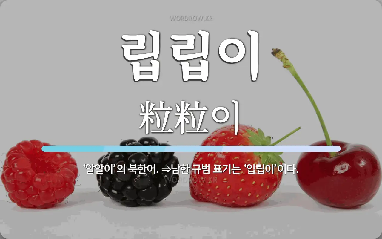 립립이 뜻 ‘알알이의 북한어 ⇒남한 규범 표기는 ‘입립이이다