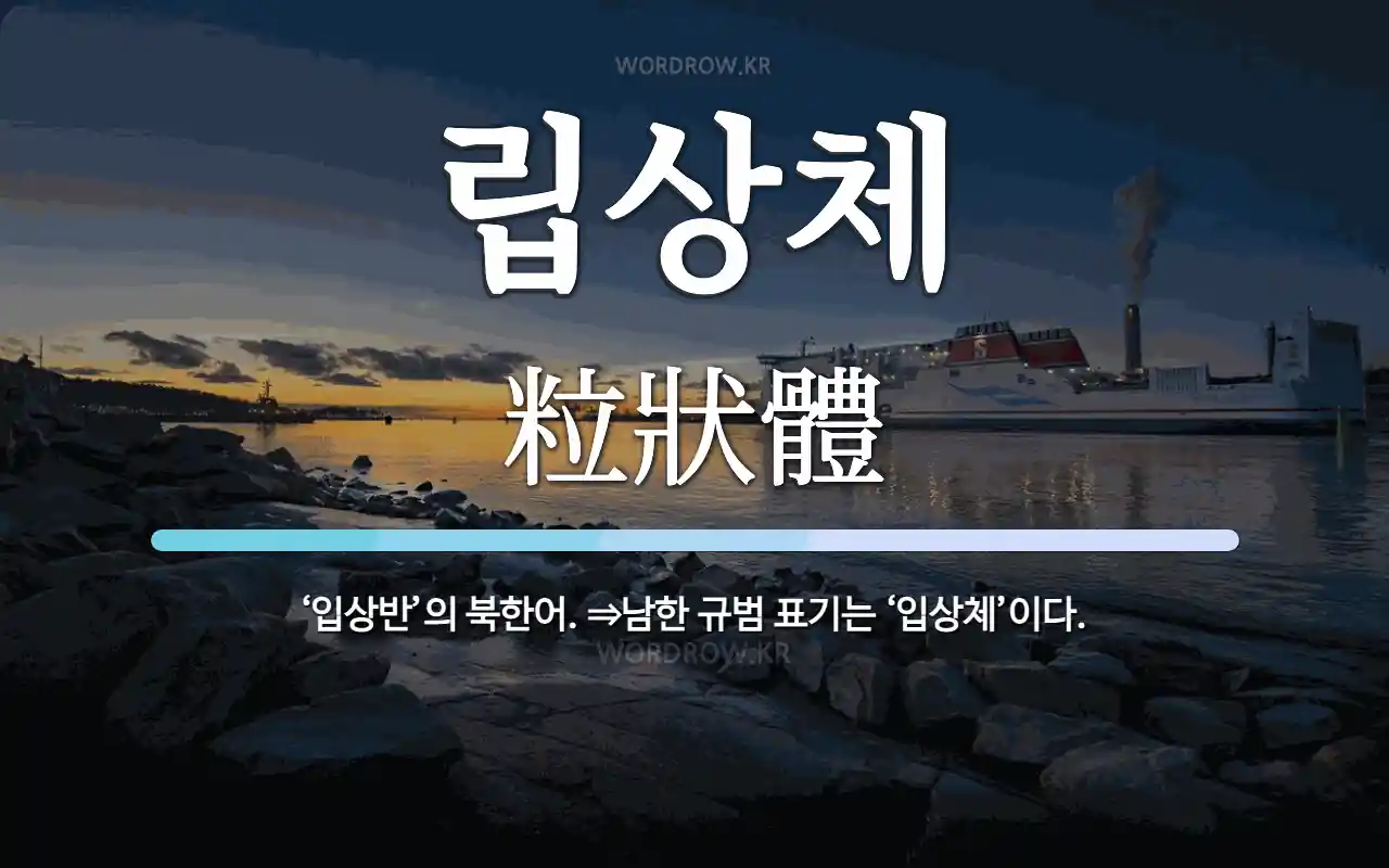 립상체 뜻 ‘입상반의 북한어 ⇒남한 규범 표기는 ‘입상체이다