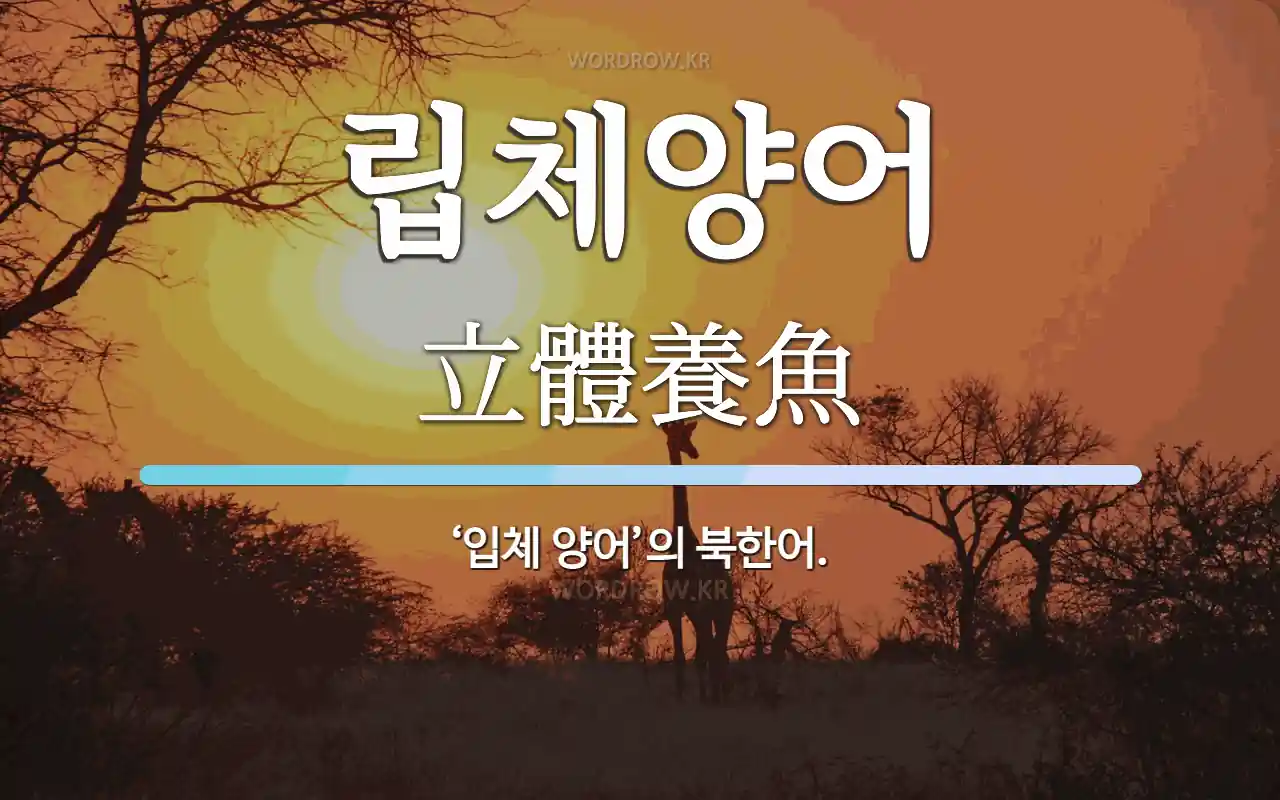 립체양어 뜻 ‘입체 양어의 북한어