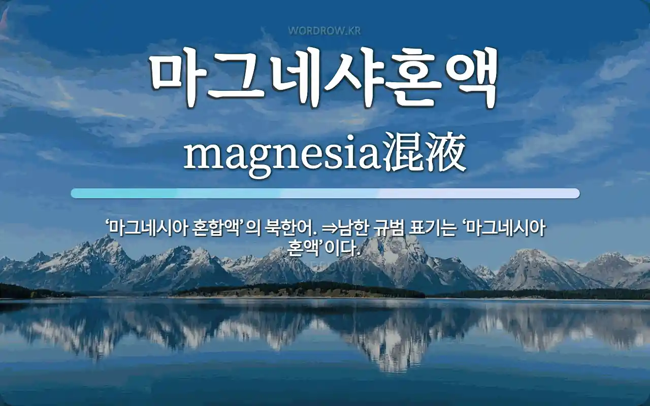 마그네샤혼액 뜻 ‘마그네시아 혼합액의 북한어 ⇒남한 규범 표기는 ‘마그네시아 혼액이다