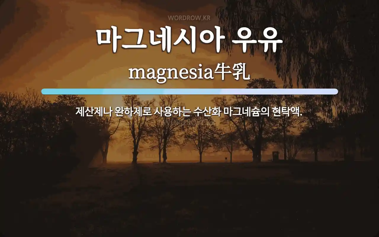 마그네시아 우유 뜻 제산제나 완하제로 사용하는 수산화 마그네슘의 현탁액