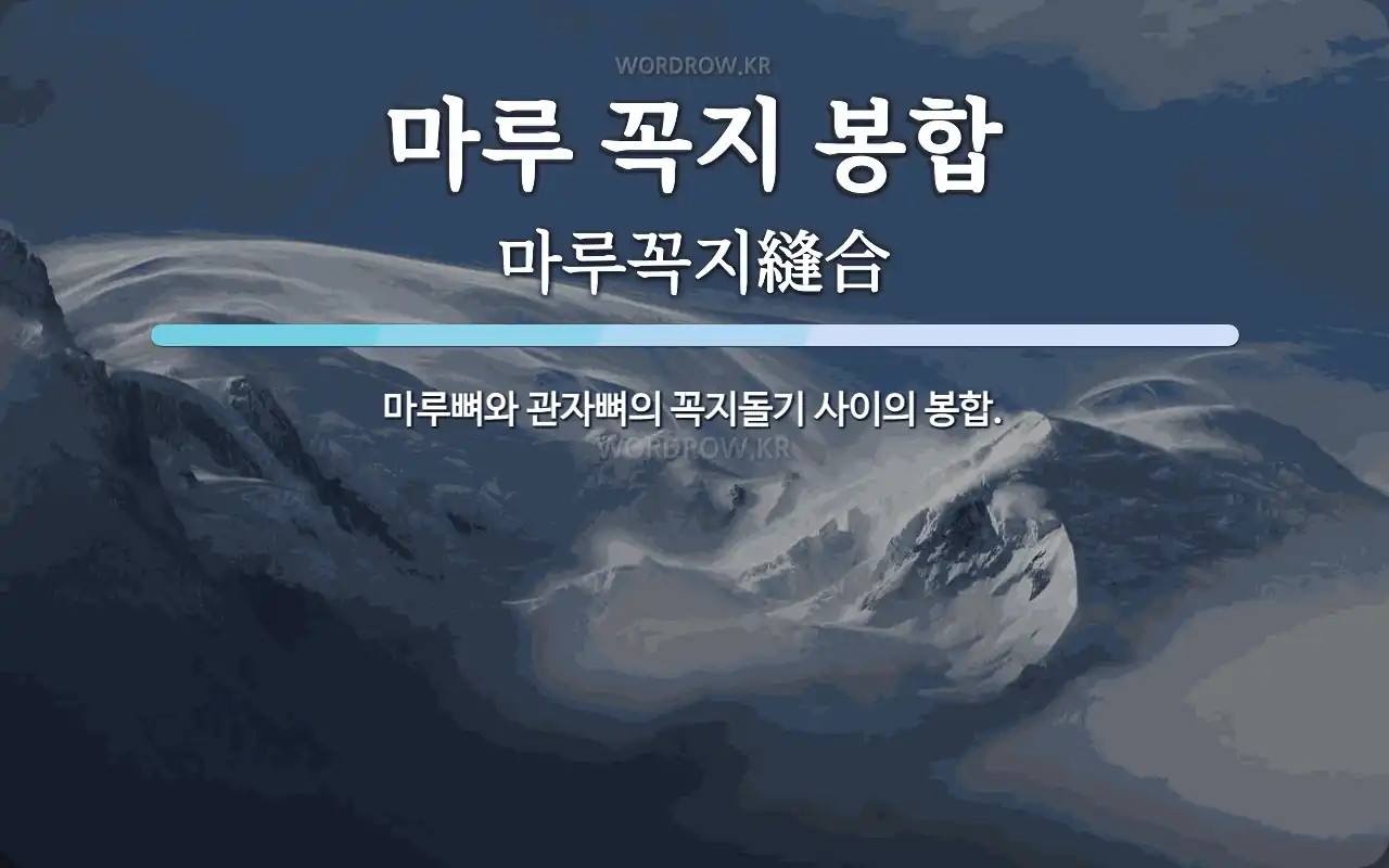 마루 꼭지 봉합 뜻 마루뼈와 관자뼈의 꼭지돌기 사이의 봉합