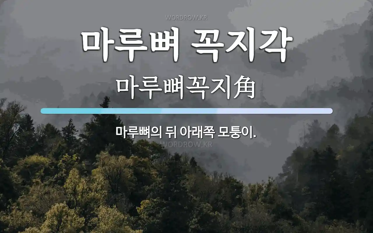 마루뼈 꼭지각 뜻 마루뼈의 뒤 아래쪽 모퉁이