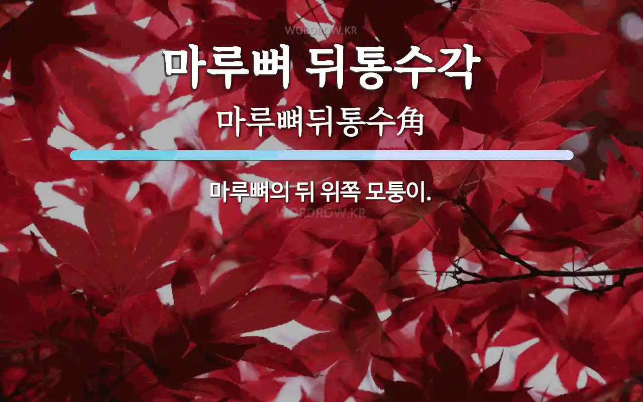 마루뼈 뒤통수각 뜻 마루뼈의 뒤 위쪽 모퉁이
