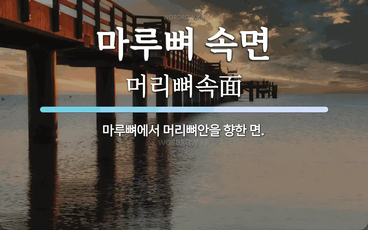 마루뼈 속면 뜻 마루뼈에서 머리뼈안을 향한 면