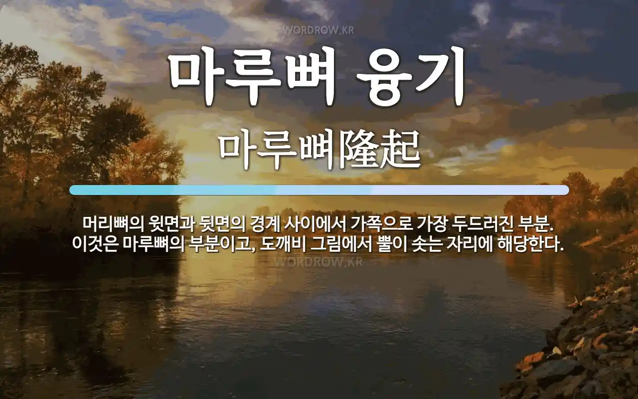 마루뼈 융기 뜻 머리뼈의 윗면과 뒷면의 경계 사이에서 가쪽으로 가장 두드러진 부분 이것은 마루뼈의 부분이