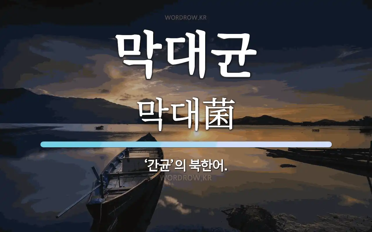 막대균 뜻 ‘간균의 북한어