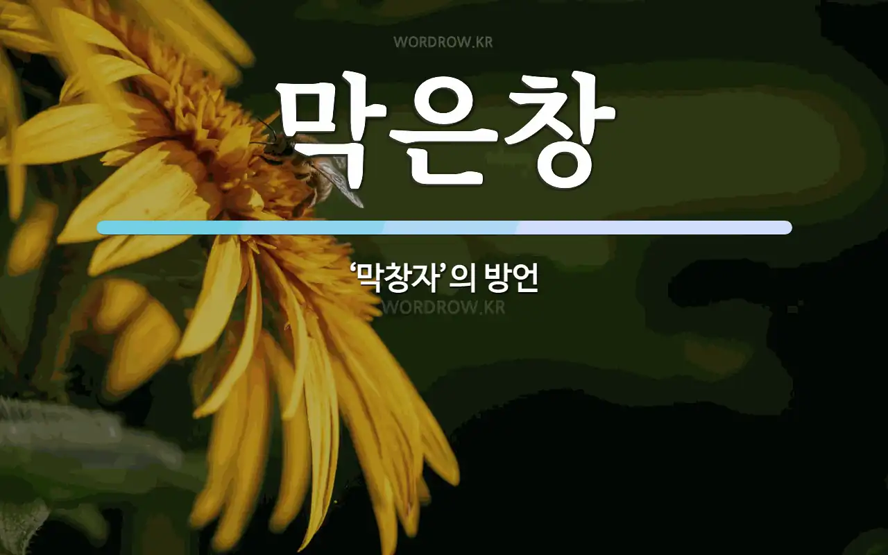 막은창 뜻 ‘막창자의 방언