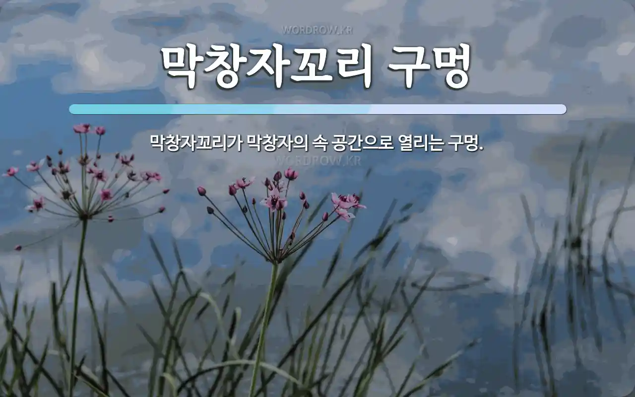 막창자꼬리 구멍 뜻 막창자꼬리가 막창자의 속 공간으로 열리는 구멍