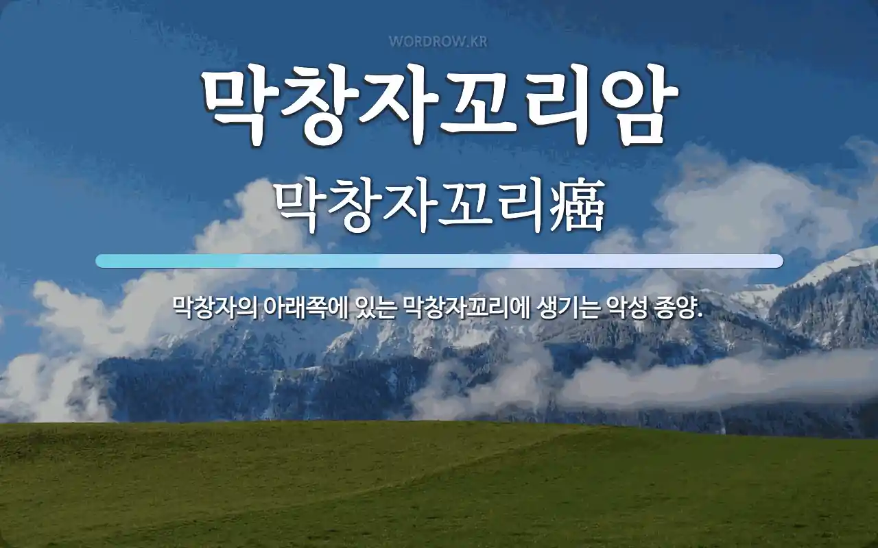 막창자꼬리암 뜻 막창자의 아래쪽에 있는 막창자꼬리에 생기는 악성 종양