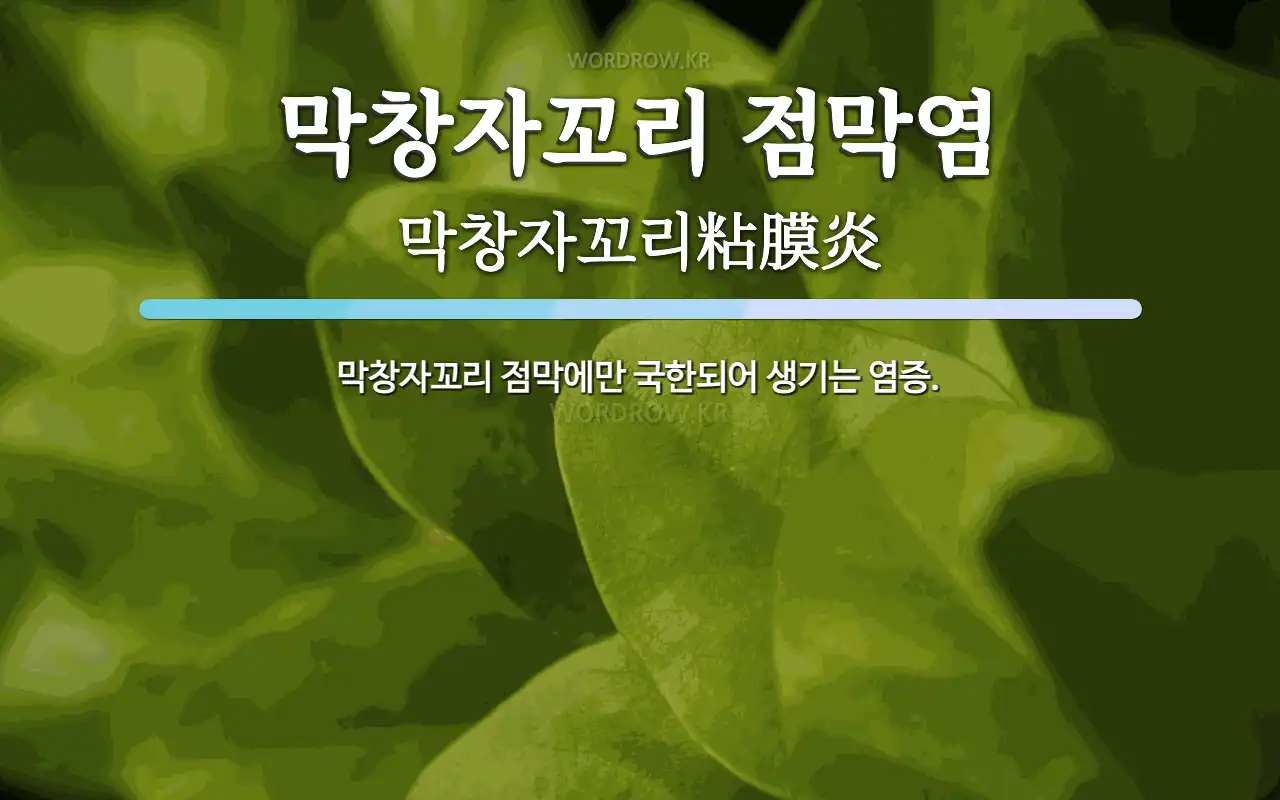 막창자꼬리 점막염 뜻 막창자꼬리 점막에만 국한되어 생기는 염증