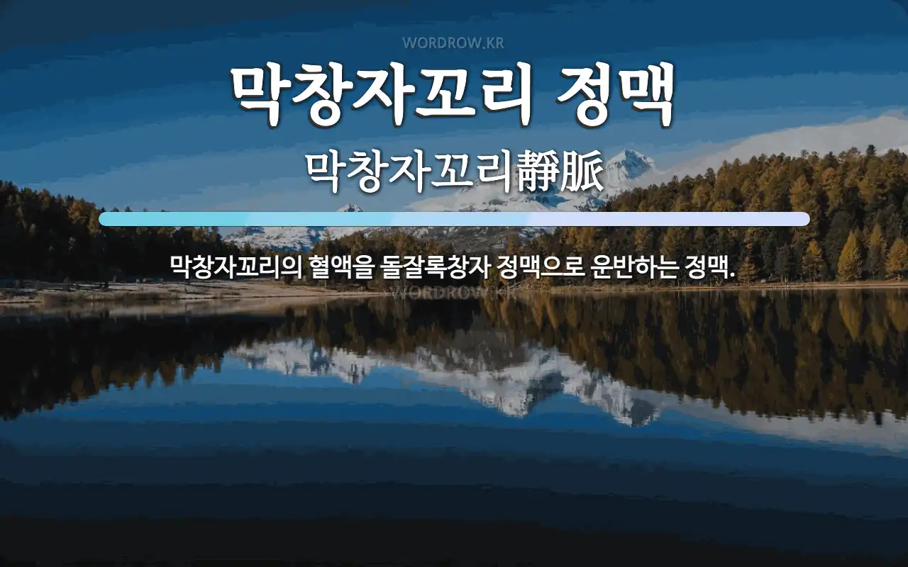 막창자꼬리 정맥 뜻 막창자꼬리의 혈액을 돌잘록창자 정맥으로 운반하는 정맥