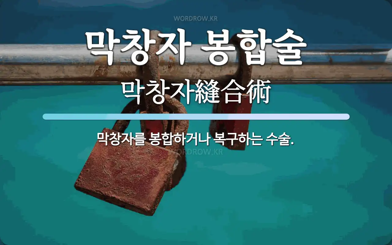 막창자 봉합술 뜻 막창자를 봉합하거나 복구하는 수술
