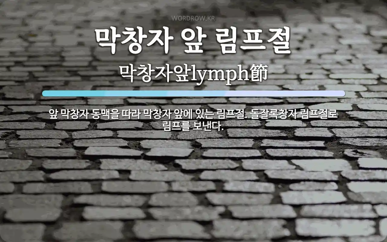 막창자 앞 림프절 뜻 앞 막창자 동맥을 따라 막창자 앞에 있는 림프절 돌잘록창자 림프절로 림프를 보낸다