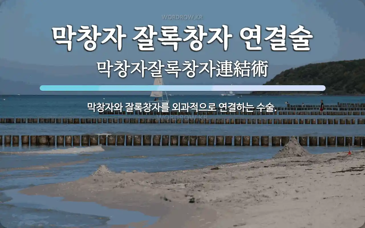 막창자 잘록창자 연결술 뜻 막창자와 잘록창자를 외과적으로 연결하는 수술