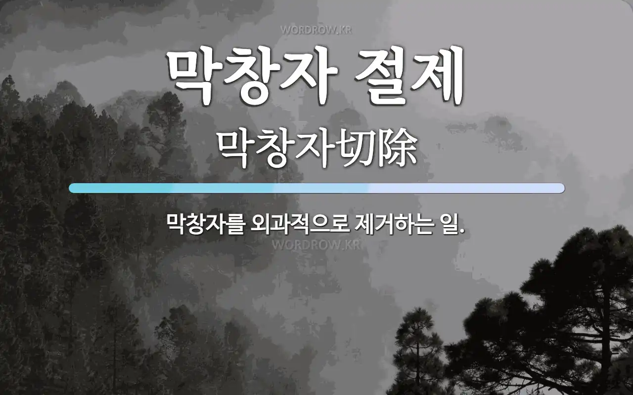 막창자 절제 뜻 막창자를 외과적으로 제거하는 일