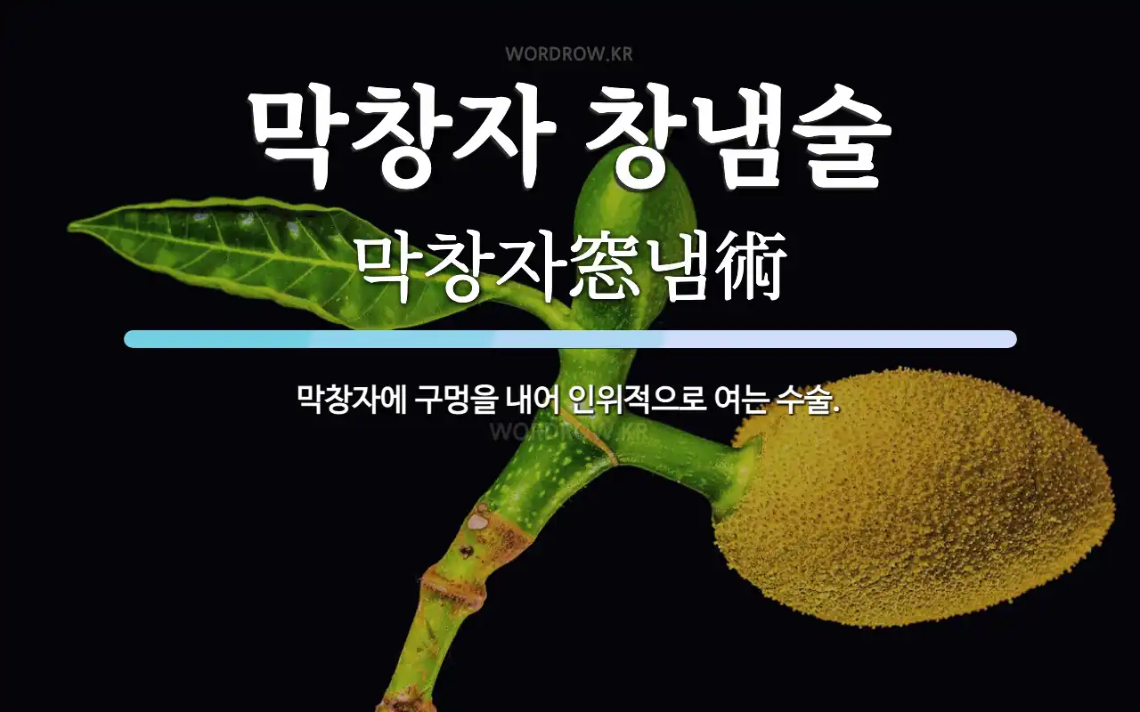 막창자 창냄술 뜻 막창자에 구멍을 내어 인위적으로 여는 수술