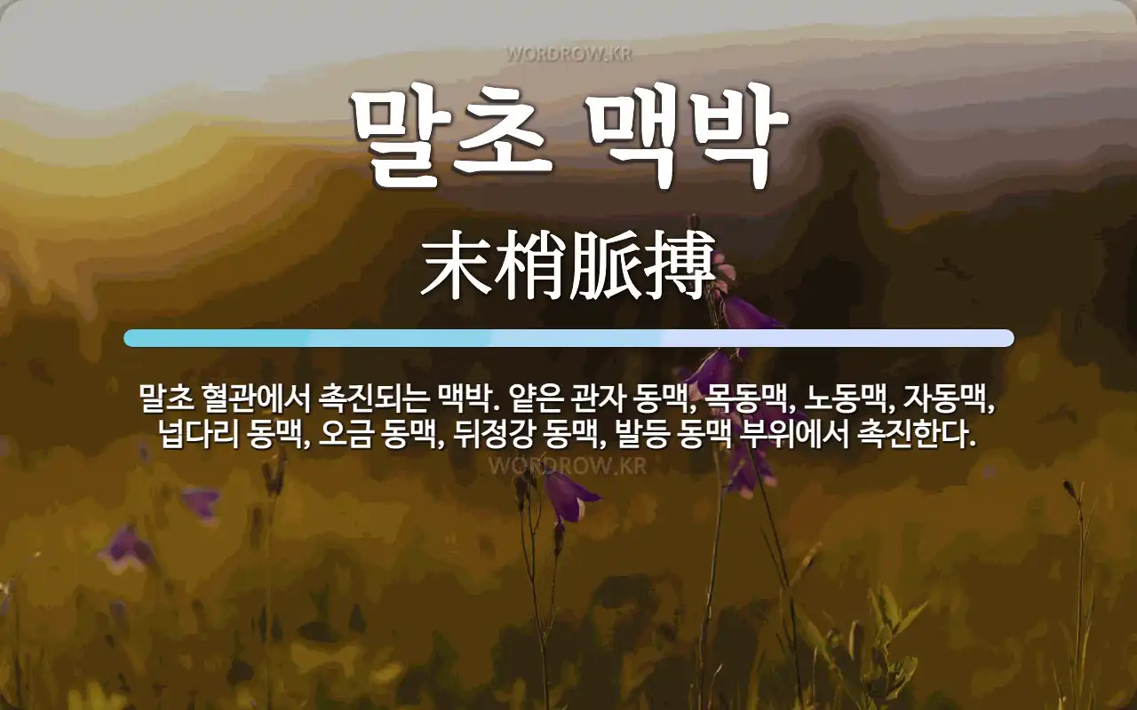 말초 맥박 뜻 말초 혈관에서 촉진되는 맥박 얕은 관자 동맥 목동맥 노동맥 자동맥 넙다리 동맥