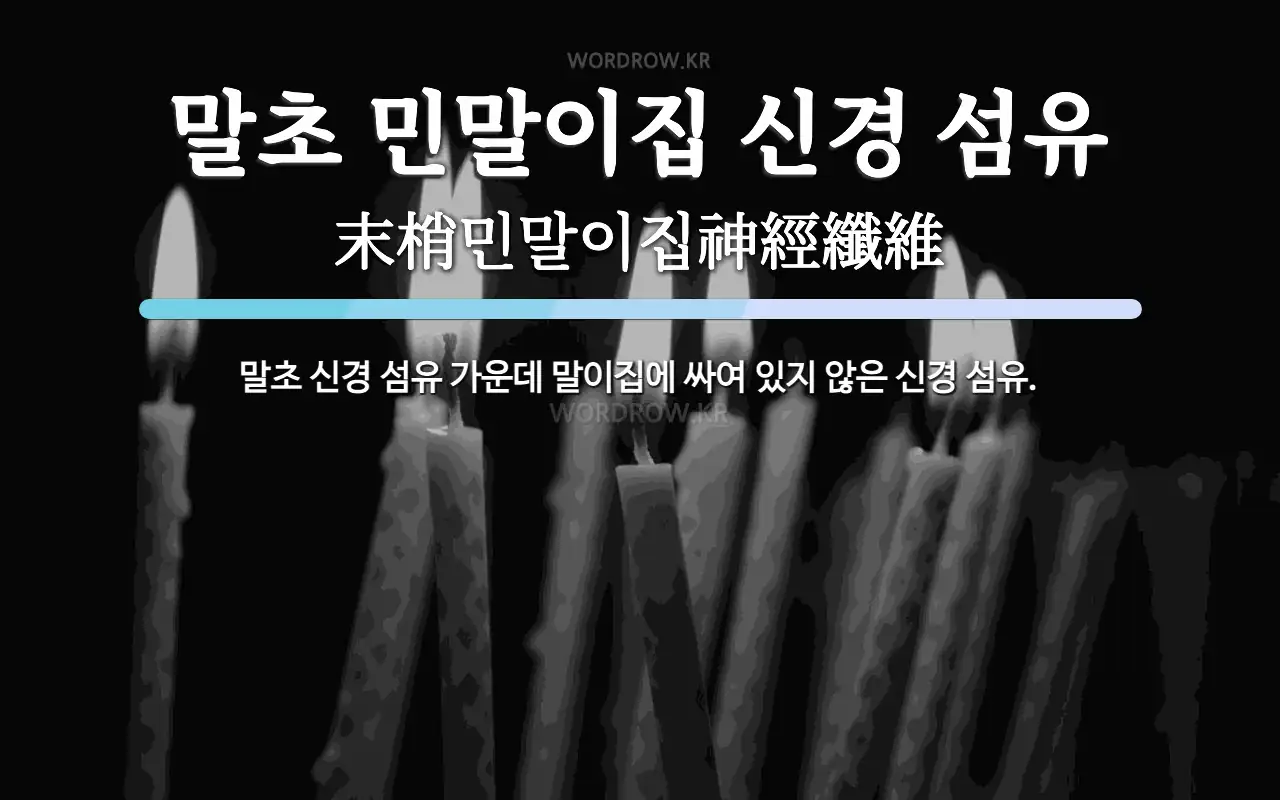 말초 민말이집 신경 섬유 뜻 말초 신경 섬유 가운데 말이집에 싸여 있지 않은 신경 섬유