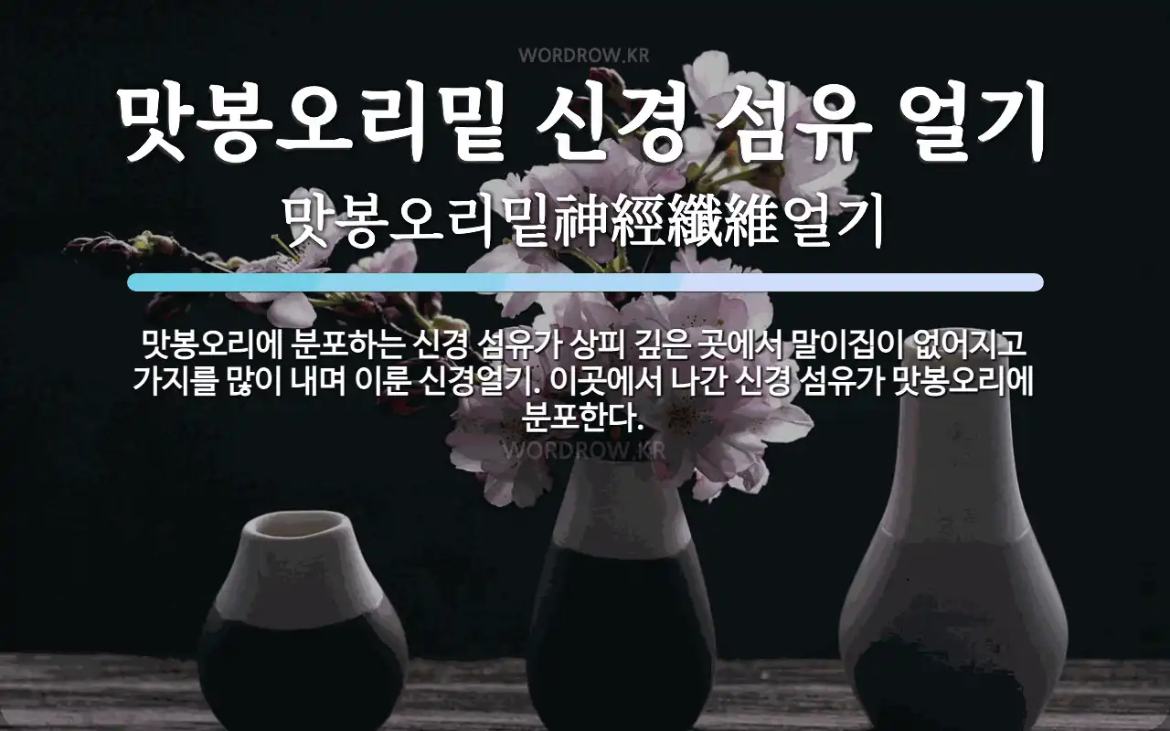 맛봉오리밑 신경 섬유 얼기 뜻 맛봉오리에 분포하는 신경 섬유가 상피 깊은 곳에서 말이집이 없어지고 가지를 많이 내며 이룬